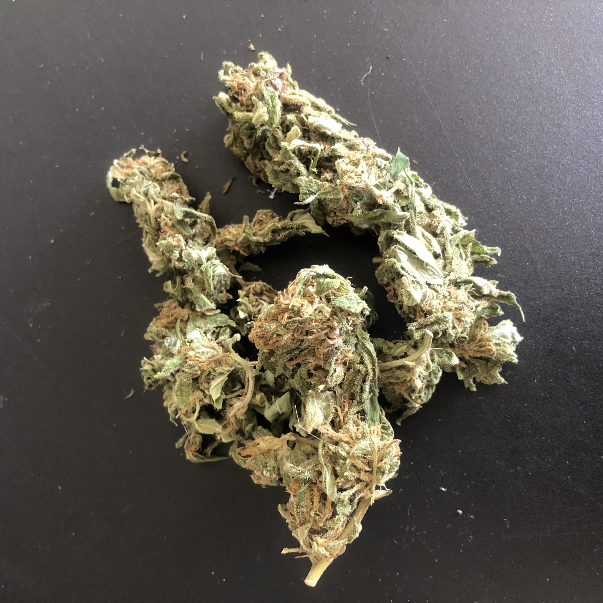 INDOOR HIGH THCA HEMP FLOWER Archives - Order CBD oil online, Flower ...